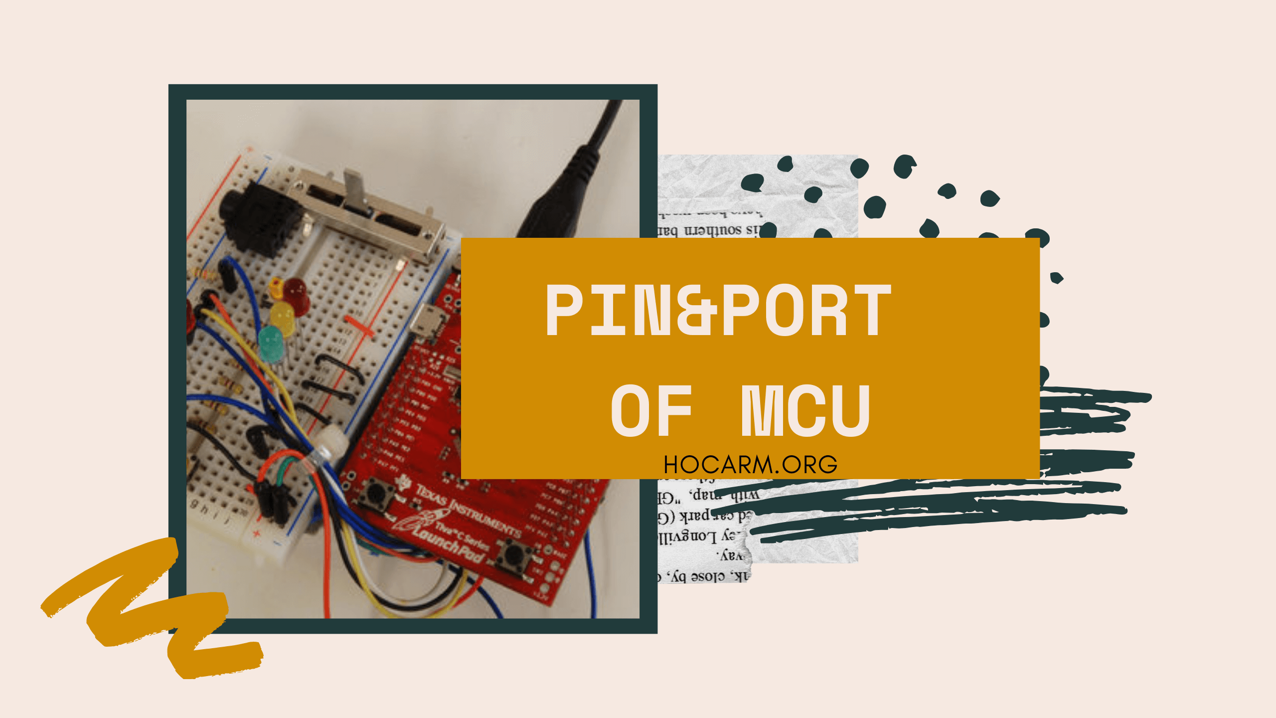 Các Port của vi điều khiển | Học ARM